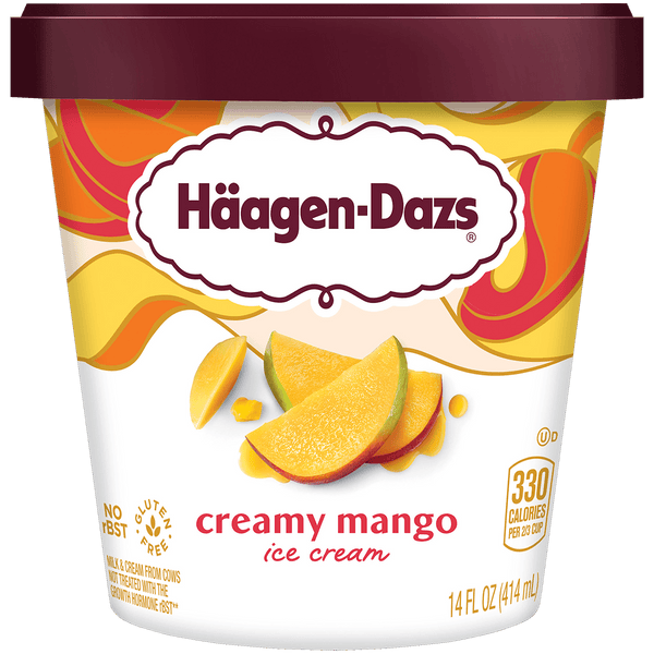 Häagen-Dazs Mango Ice Cream – Seabra Foods Online