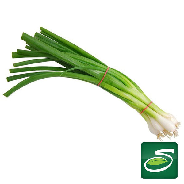 Scallions Bunch – Seabra Foods Online